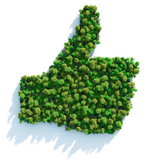 Magic Clean Eraser Sponges - Oh My Clean